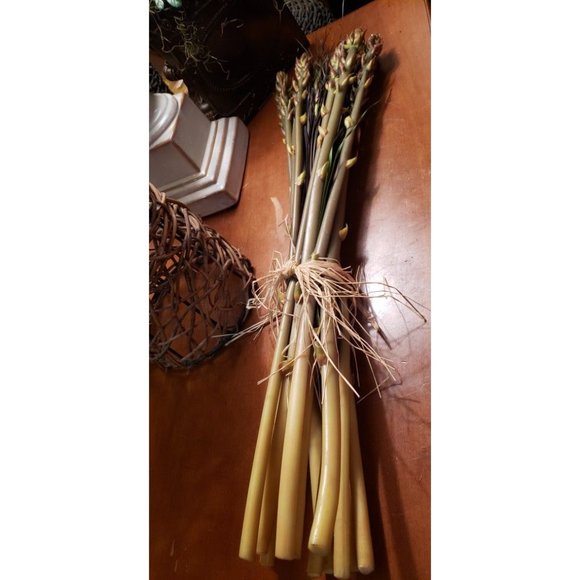 rubber stems | Accents | A Dozen Rubber Stalks With Black Grasses ...